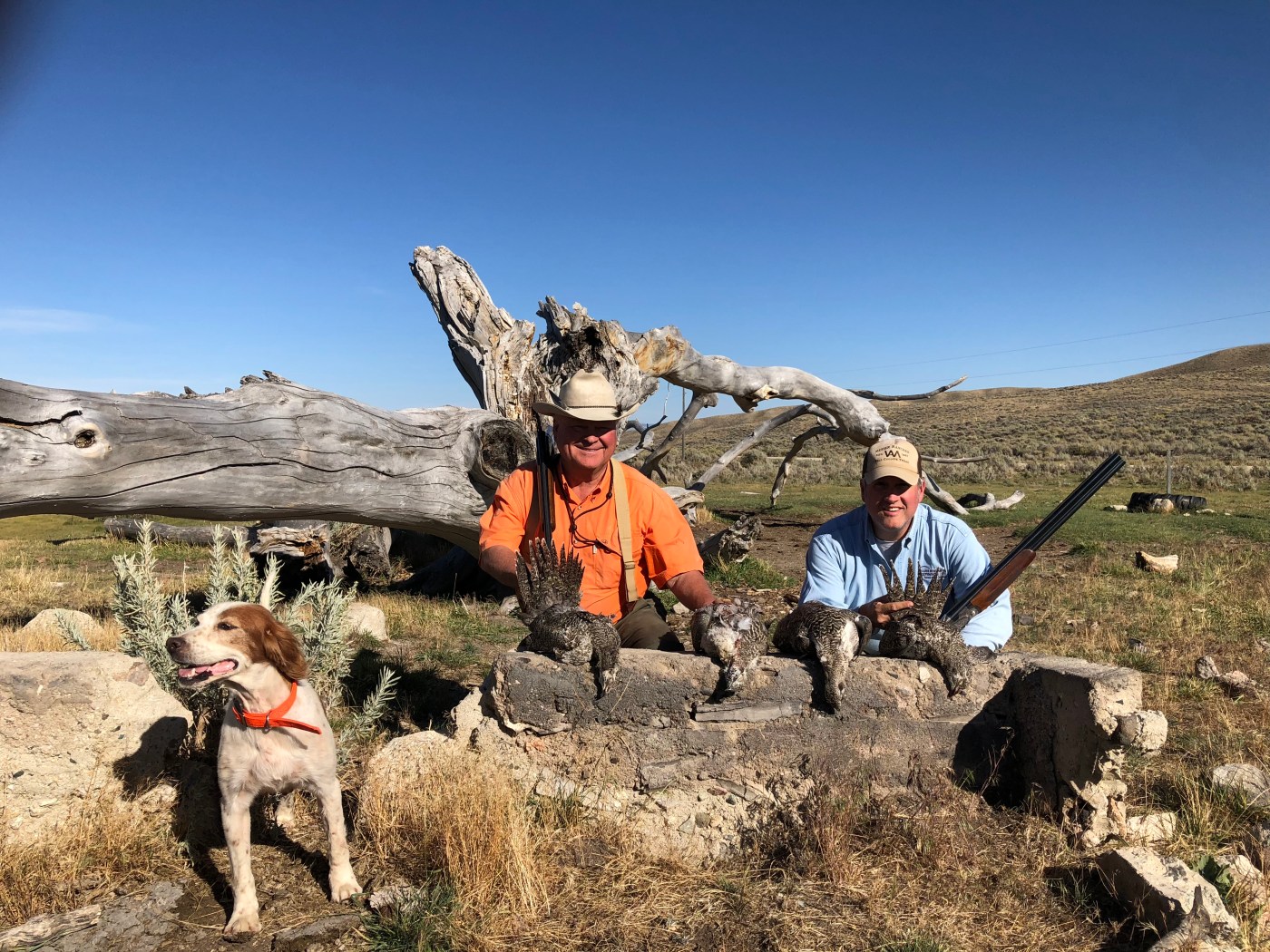 Guided Hunts – Wyoming Upland Outfitters